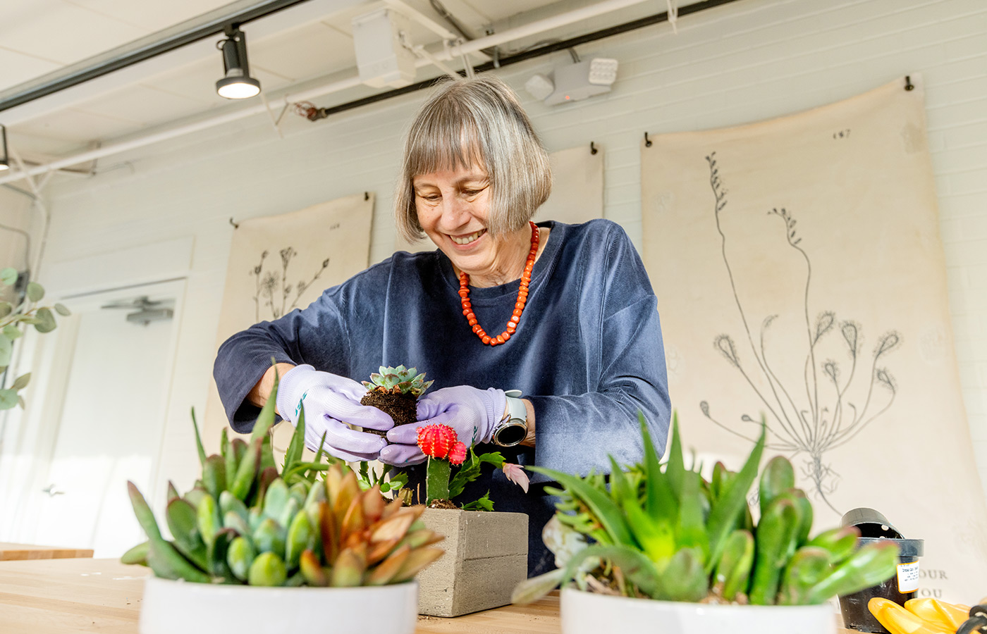 Photo Gallery | Broadway Cityview